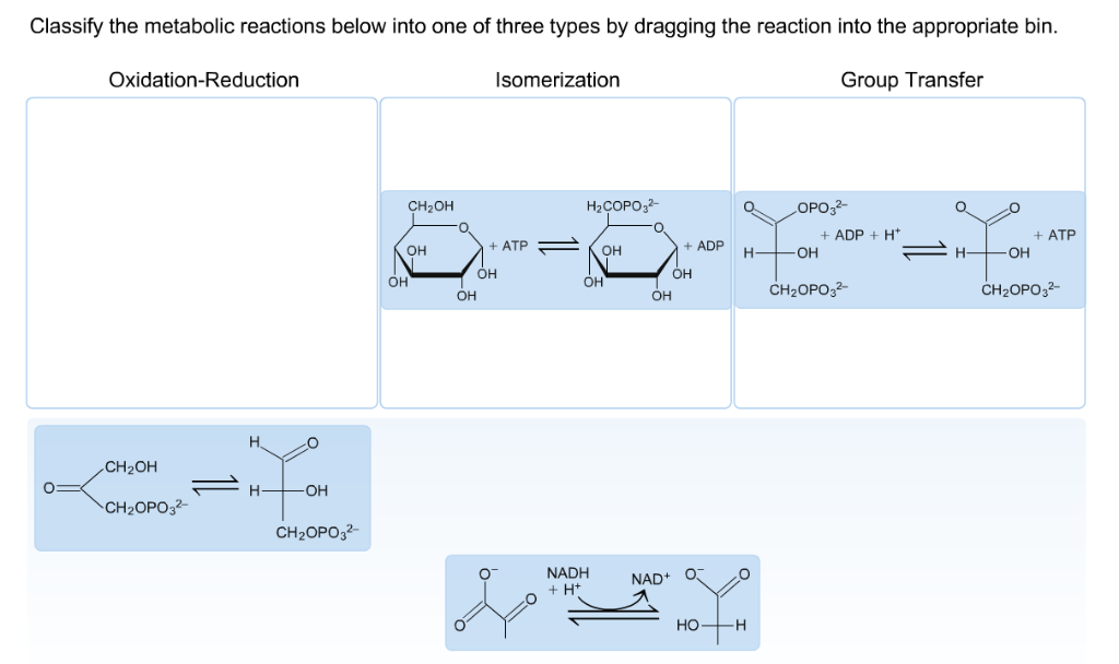 Solved Classify the metabolic reactions below into one of | Chegg.com