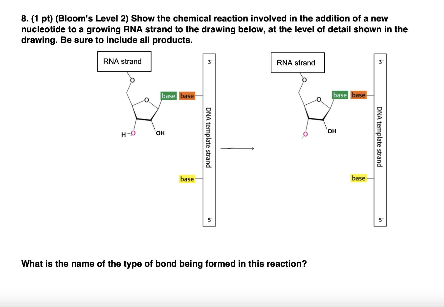 Solved 8. (1 pt) (Bloom's Level 2) Show the chemical | Chegg.com