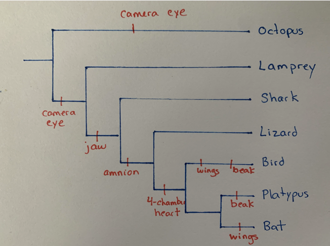 Solved A) Redraw the tree in a way that shows the same | Chegg.com