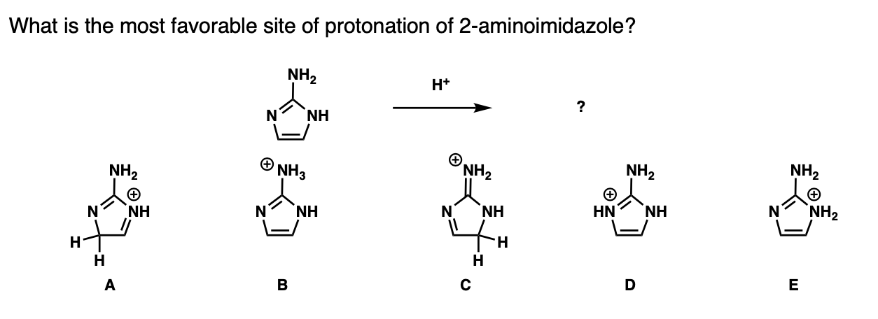 Solved What is the most favorable site of protonation of | Chegg.com