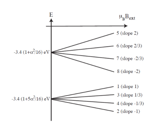 Solved I have a graphing question! This involves quantum | Chegg.com