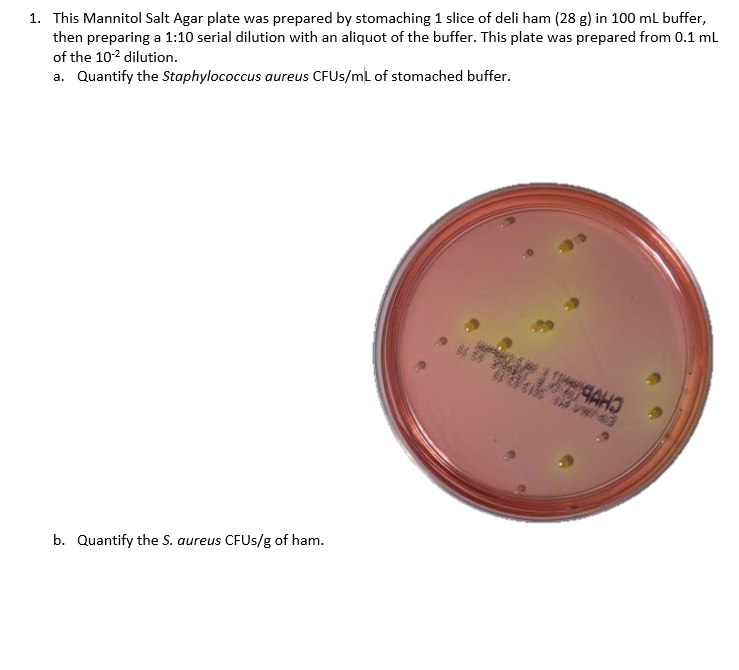 Solved 1. This Mannitol Salt Agar plate was prepared by | Chegg.com