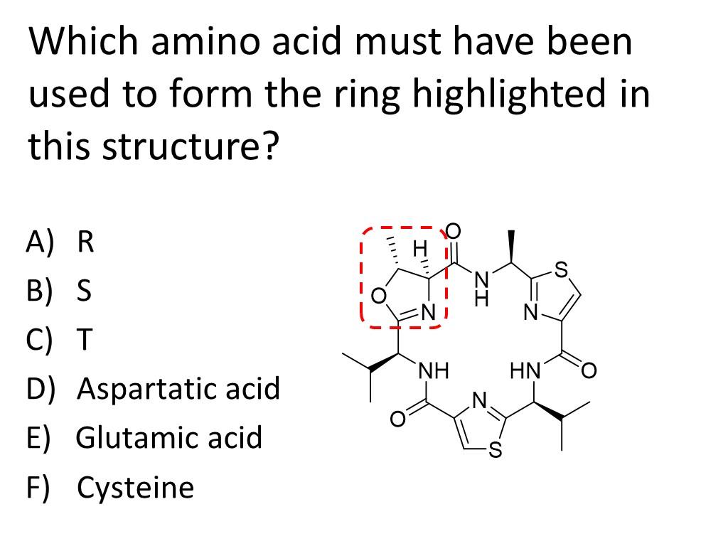 Solved Which amino acid must have been used to form the ring | Chegg.com