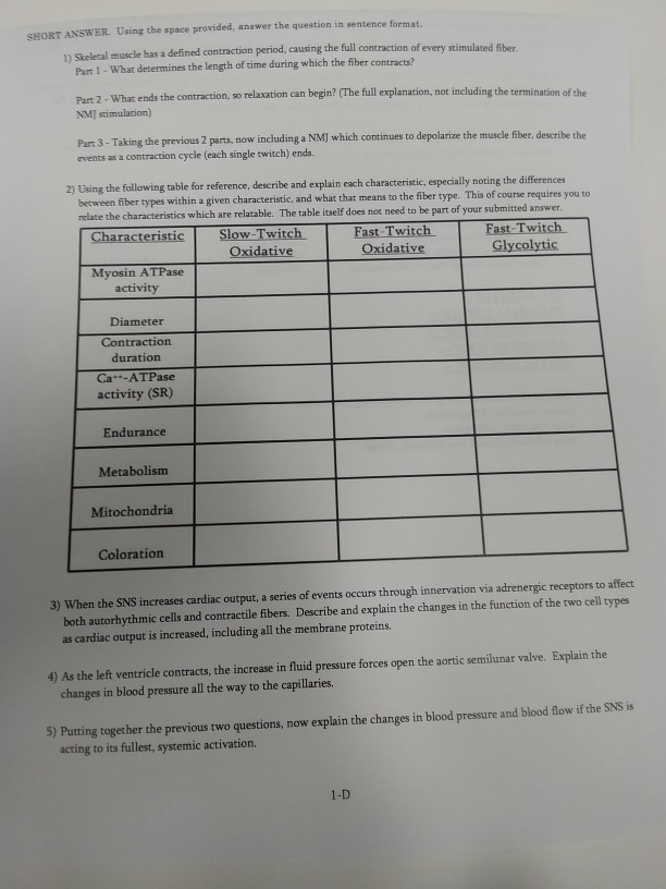 Solved SHORT ANSwER. Using the space provided, answer the | Chegg.com