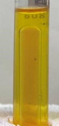 Solved The results of a sucrose fermentation test are shown | Chegg.com