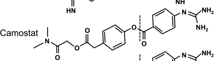 Solved Draw the acyl enzyme intermediate of camostat | Chegg.com