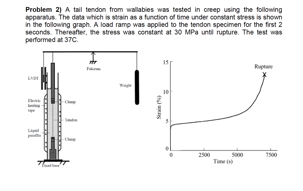 Problem 2) A tail tendon from wallabies was tested in | Chegg.com