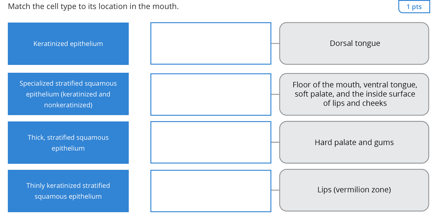 Solved Match the cell type to its location in the mouth. 1 | Chegg.com