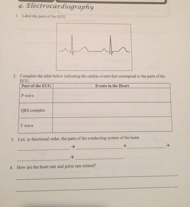Solved Electrocardiography Label the parts of the ECG. | Chegg.com