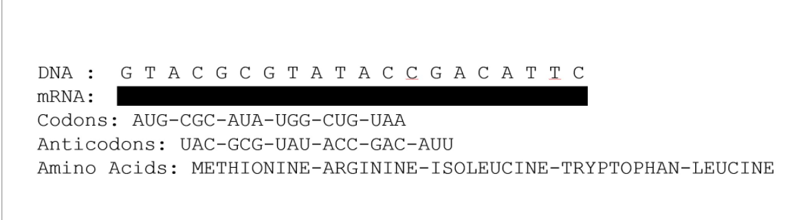 Solved Here is an example of how the genetic code flows from | Chegg.com