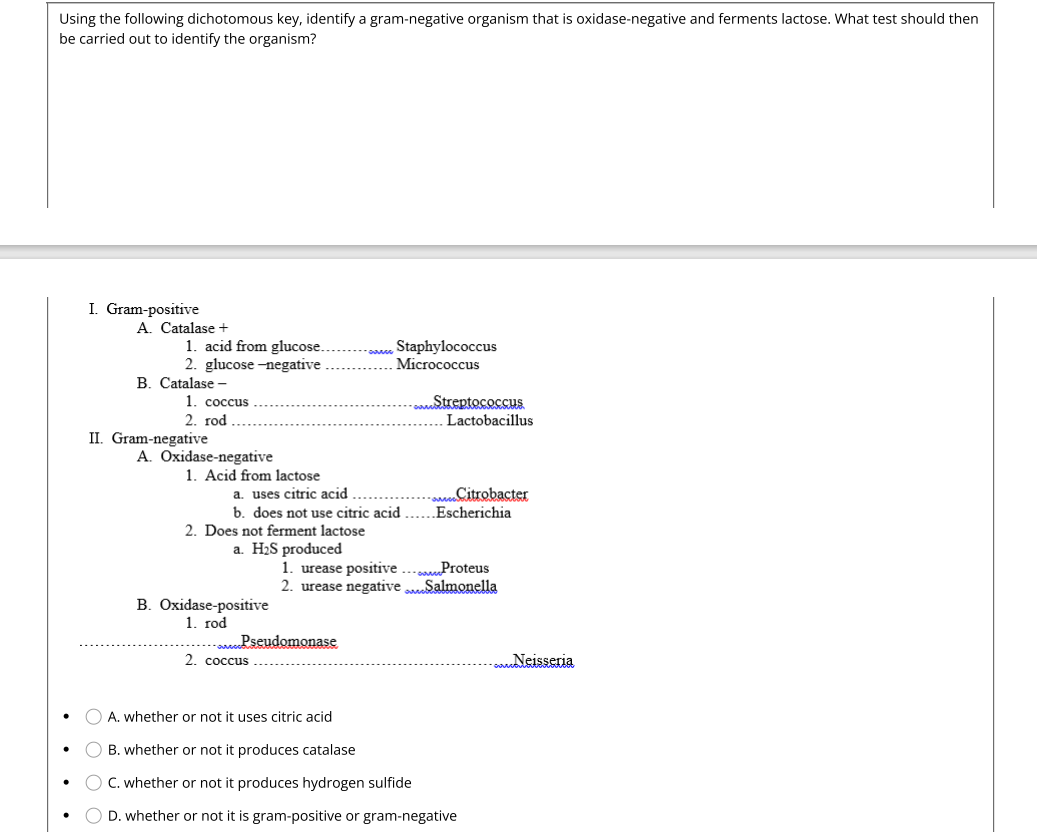 Solved Using the following dichotomous key, identify a | Chegg.com