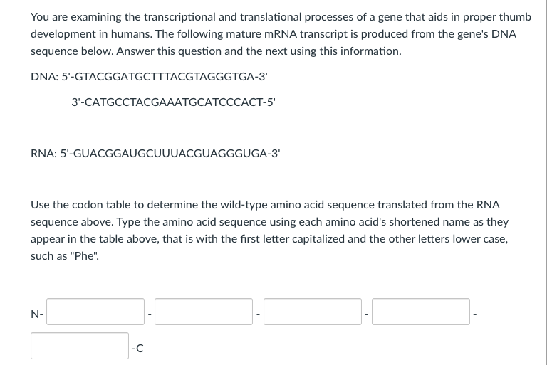 Solved You are examining the transcriptional and | Chegg.com