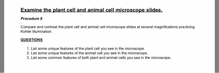 Solved Examine the plant cell and animal cell microscope | Chegg.com
