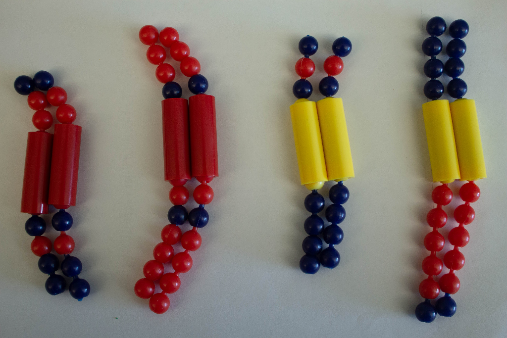 PLEASE REFER TO THE IMAGE PROVIDED PLEASE ANSWER 1, | Chegg.com