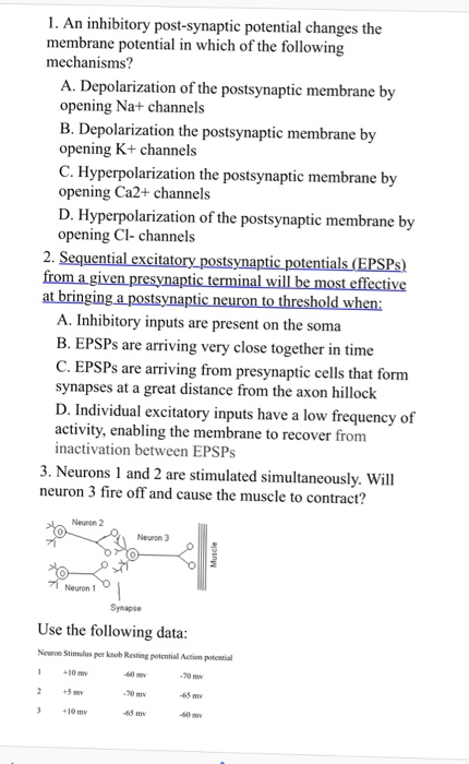 Solved 1. An inhibitory post-synaptic potential changes the | Chegg.com
