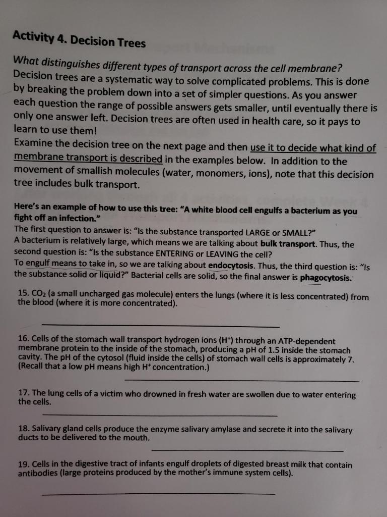 Solved Activity 4. Decision Trees What distinguishes | Chegg.com
