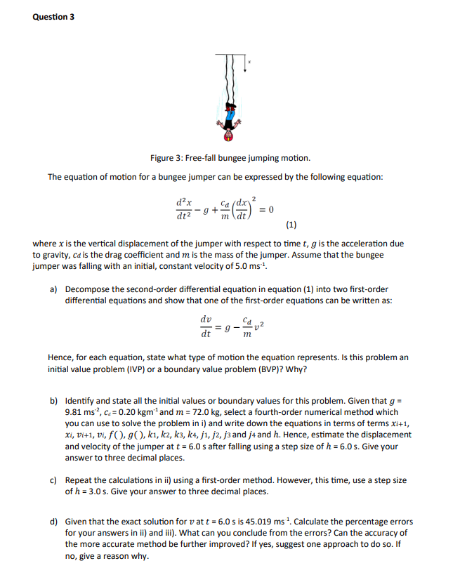 Solved Figure 3: Free-fall bungee jumping motion. The | Chegg.com