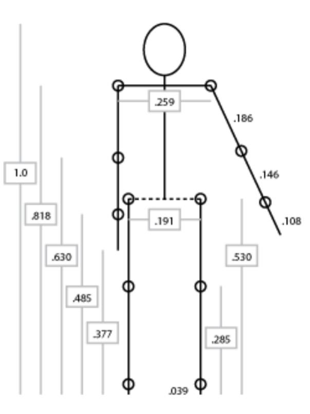 Solved A male worker, 5ft 8in tall and 220lbs, is holding a | Chegg.com
