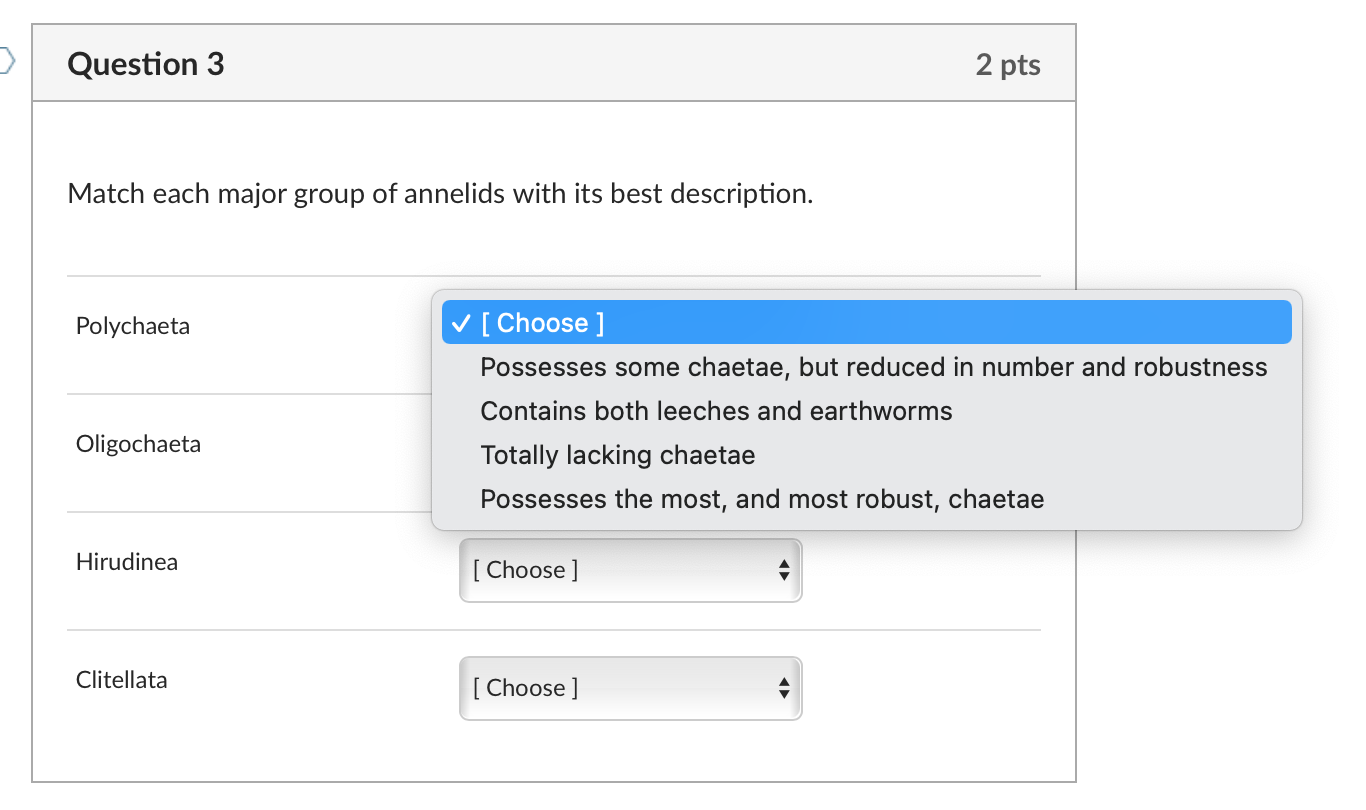 Solved Question 3 2 pts Match each major group of annelids | Chegg.com