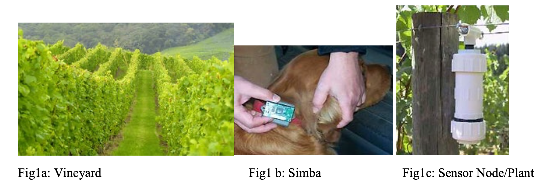 Solved Question: The Networked System to be designed is for | Chegg.com