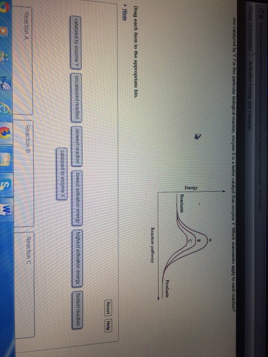 Solved Drag each item to the appropriate bin. Hints st re | Chegg.com