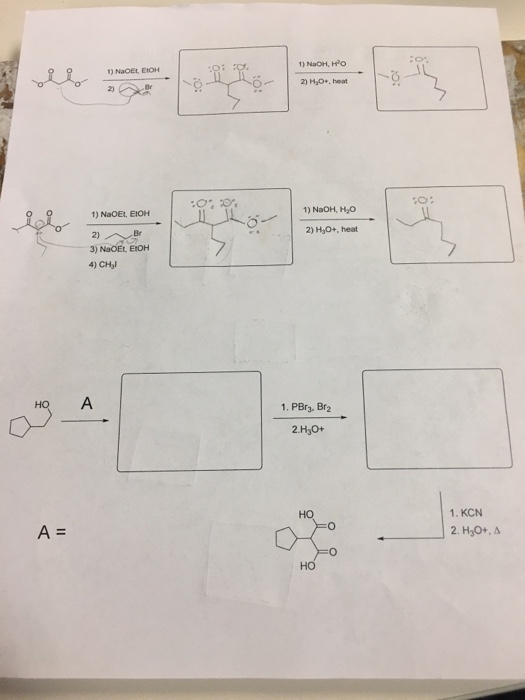 Solved Identify the correct product for each box. Identify | Chegg.com