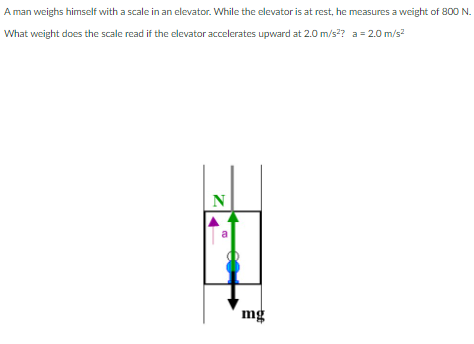 Solved A man weighs himself with a scale in an elevator. | Chegg.com