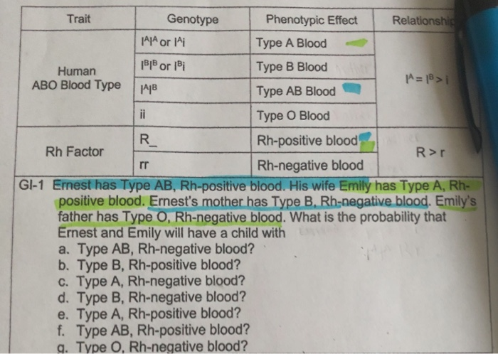 Solved Trait Genotype AA or i IBIB or lBi Phenotypic Effect | Chegg.com