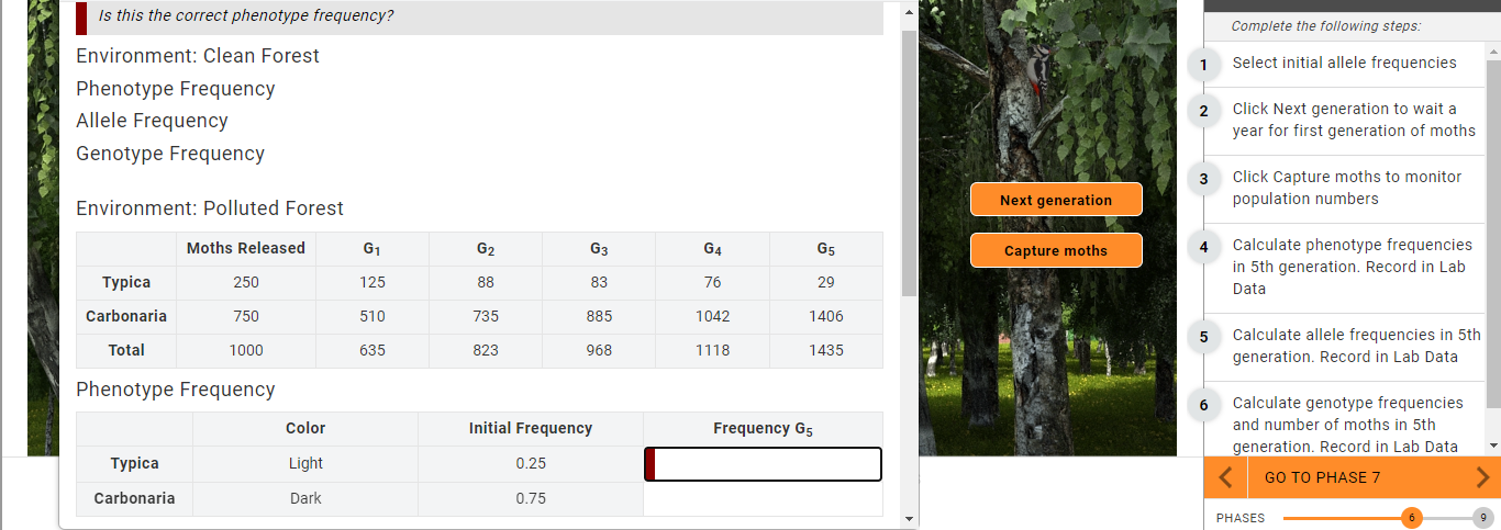 Solved Environment: Clean Forest Phenotype Frequency Allele | Chegg.com