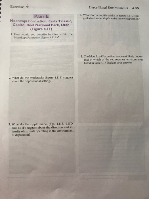 Solved Exercise 4 Depositional Environments 55 4. What do | Chegg.com