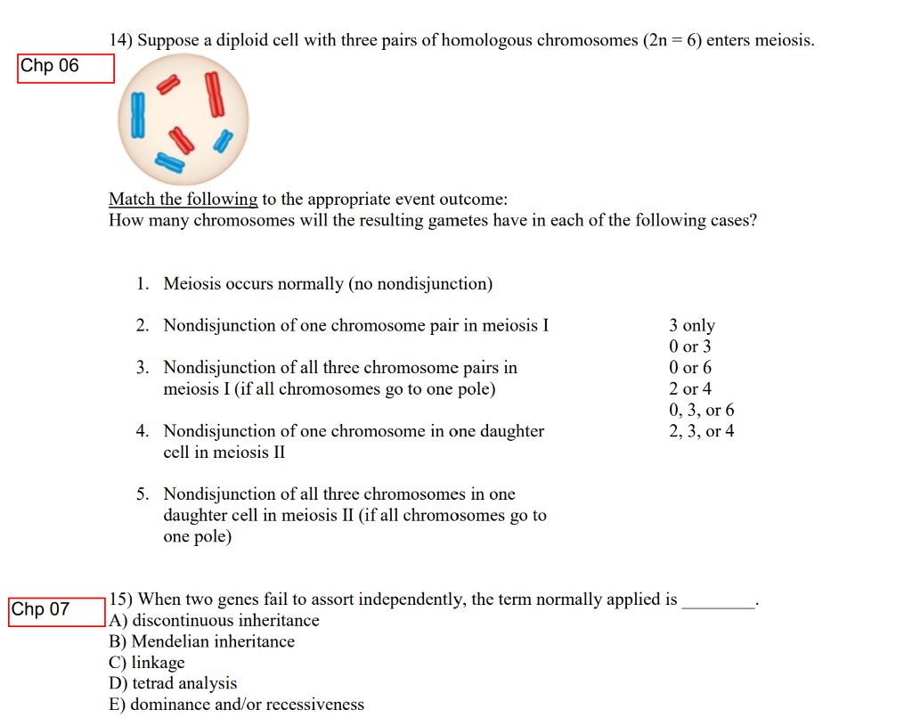 Solved 14) Suppose a diploid cell with three pairs of | Chegg.com
