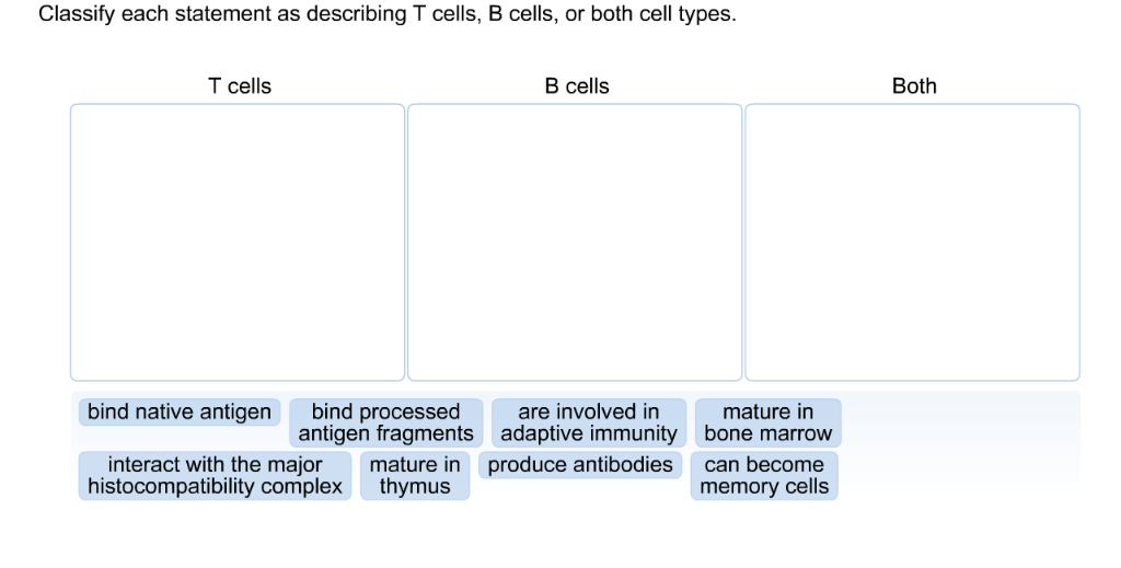 Solved Classify each statement as describing T cells, B | Chegg.com