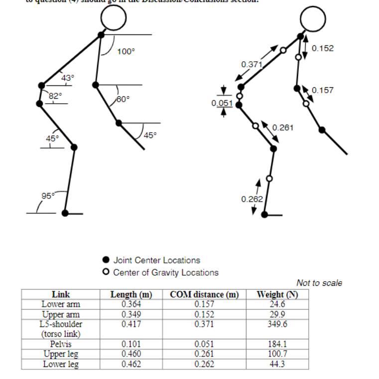 Re-compute the estimated L5/S1 disc compression | Chegg.com