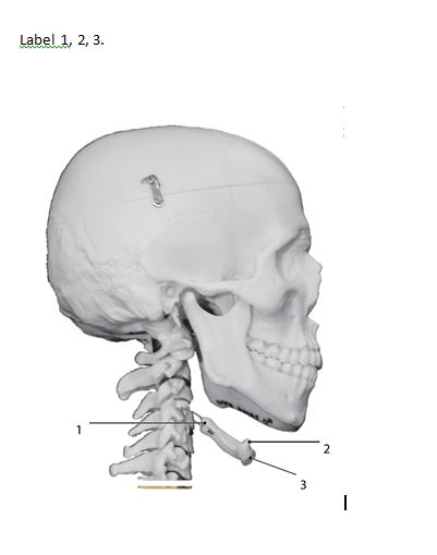 Solved Label 1, 2, 3 . | Chegg.com