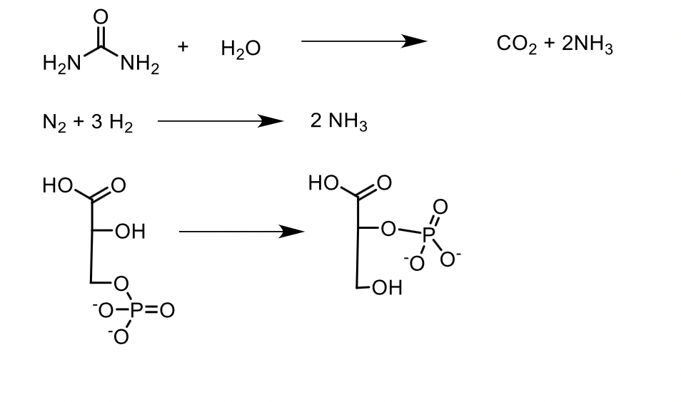 Solved (a) Does the entropy increase, decrease or not change | Chegg.com