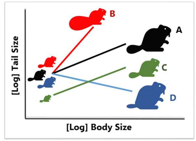 What is the relationship between each figure | Chegg.com