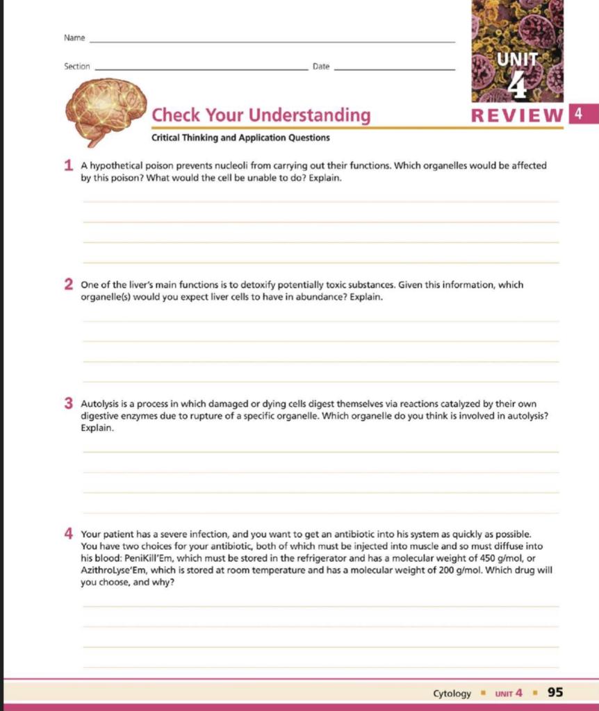 Solved Name UNIT Section Date Check Your Understanding | Chegg.com