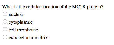 Solved What is the cellular location of the MCIR protein? | Chegg.com