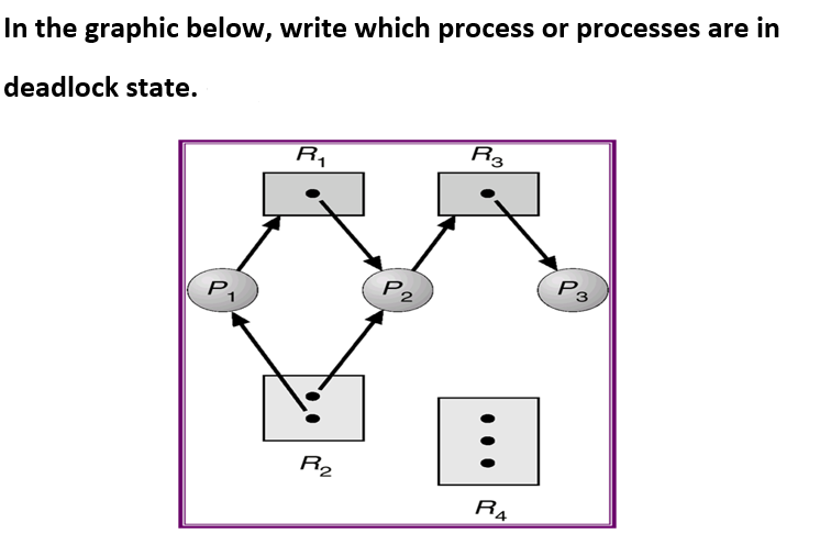 Solved In the graphic below, write which process or | Chegg.com