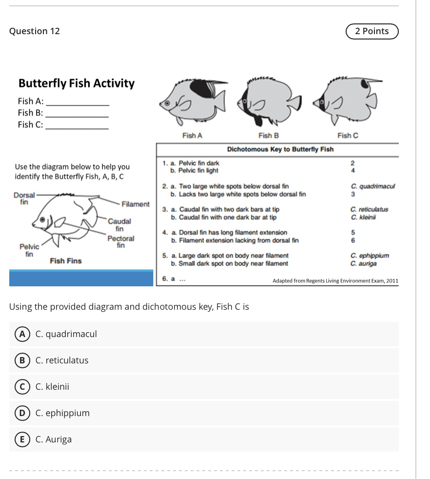 Solved Using the dichotomous key, Bird W is in the genus | Chegg.com