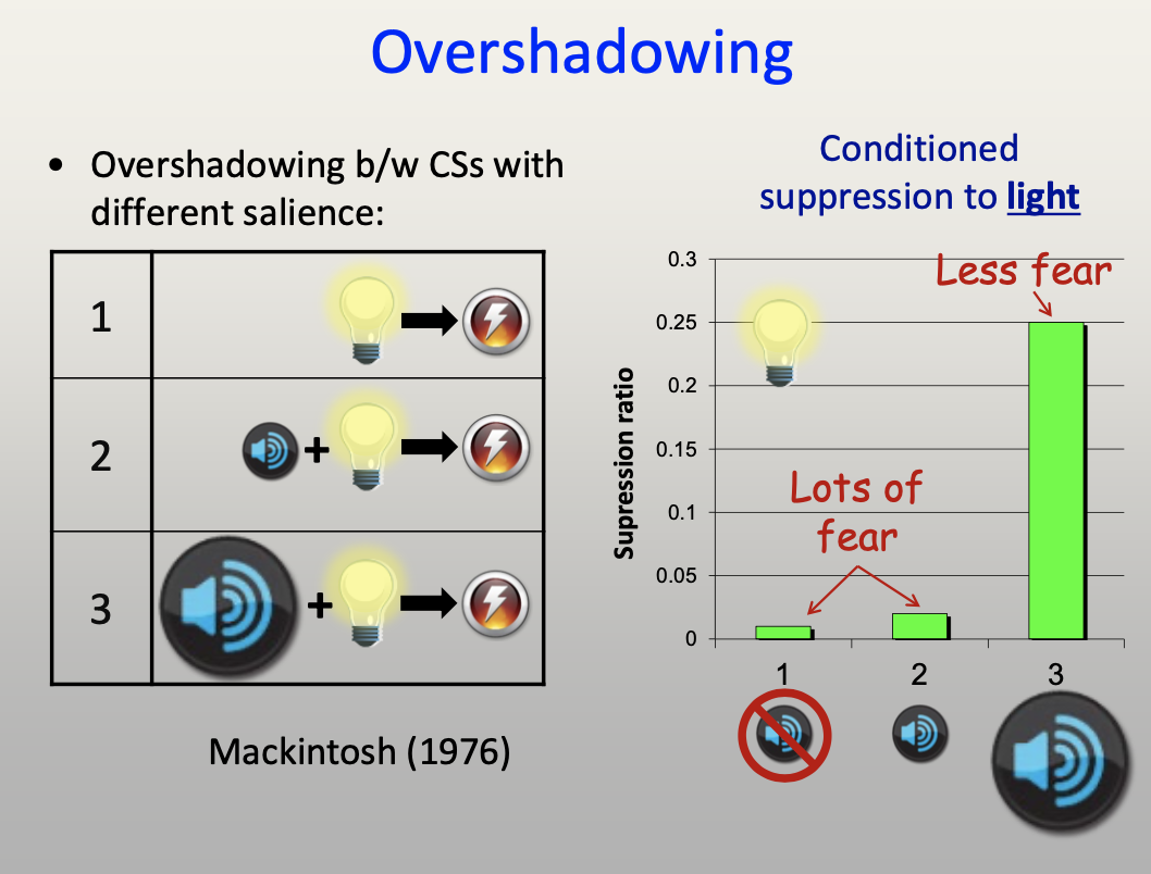Solved Overshadowing Conditioning TEST 20 15 Magazine | Chegg.com