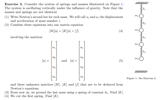 Solved Exercise 3. Consider the system of springs and masses | Chegg.com