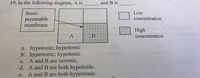Solved 19. In the following diagram, A is and B is Semi- | Chegg.com