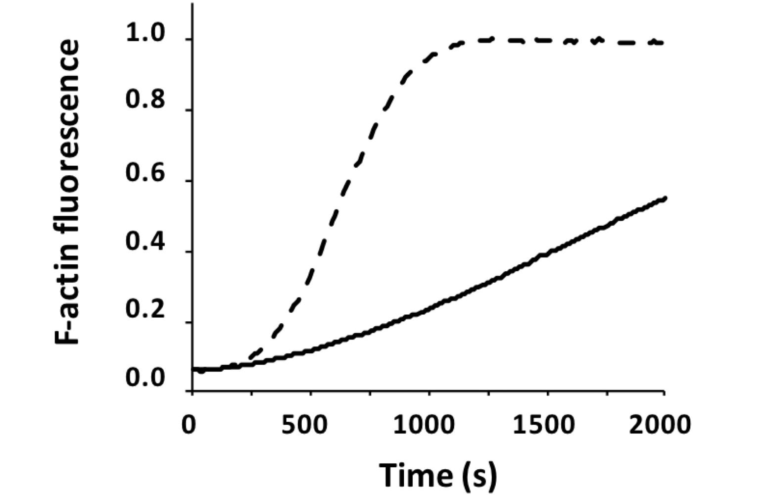 Solved PLEASE PROVIDE DETAILED REASONING! The pyrene-actin | Chegg.com