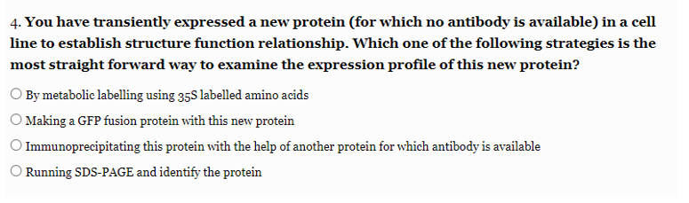 Solved You have transiently expressed a new protein (for | Chegg.com