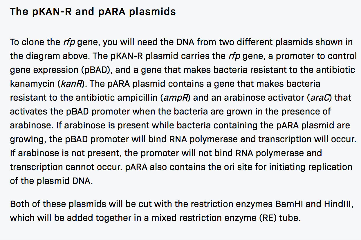 Solved The pKAN-R and PARA plasmids To clone the rfp gene, | Chegg.com
