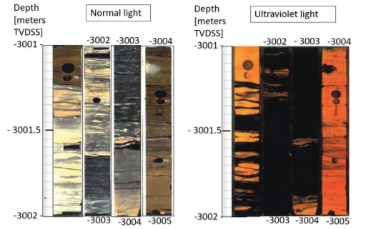 Q4. A. Identify the top and base of the sandstone | Chegg.com
