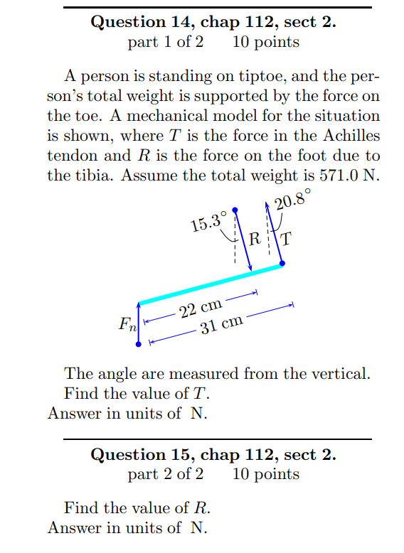 Solved A person is standing on tiptoe, and the person's | Chegg.com