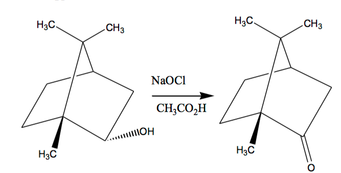 Solved In the oxidation of isoborneol to camphor, toward the | Chegg.com