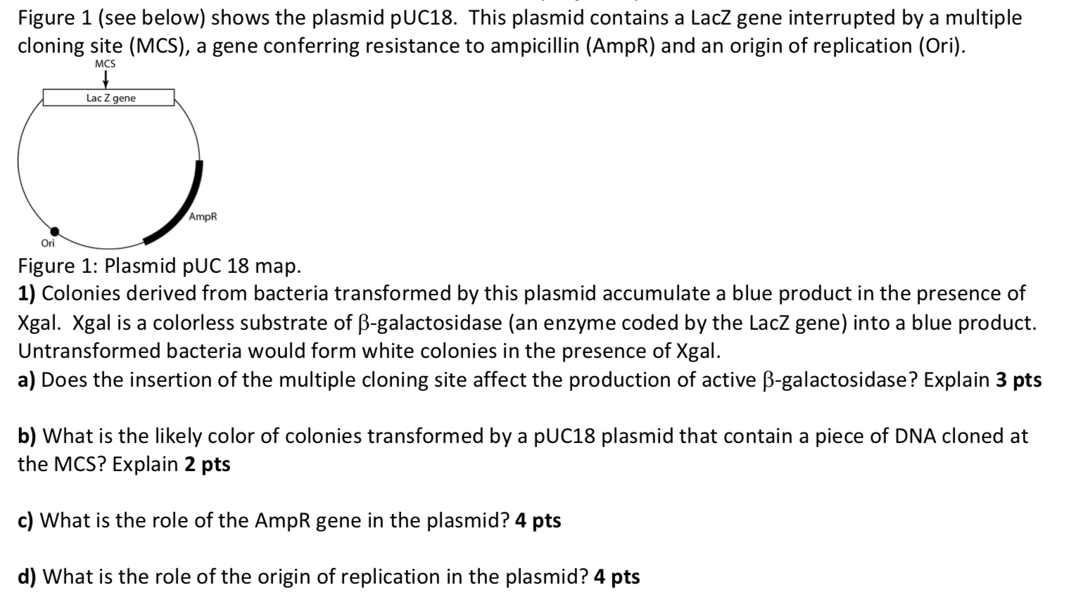 Solved Figure 1 (see below) shows the plasmid pUC18. This | Chegg.com